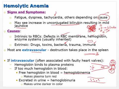 Ch 21 Hematologic Anemia Leukemia and Clotting disorders - YouTube
