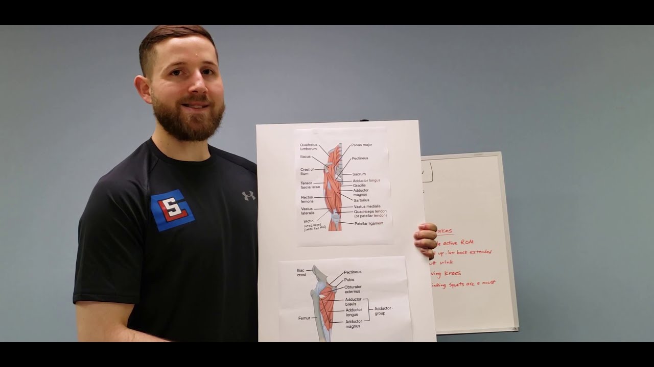 Quads Anatomy and Function - YouTube