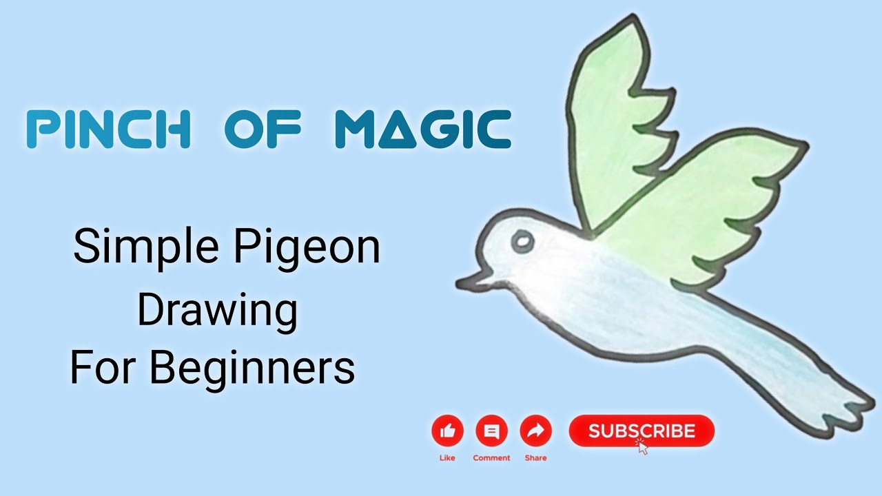 How to draw a simple Pigeon drawing |2024| #Pinchofmagic - YouTube
