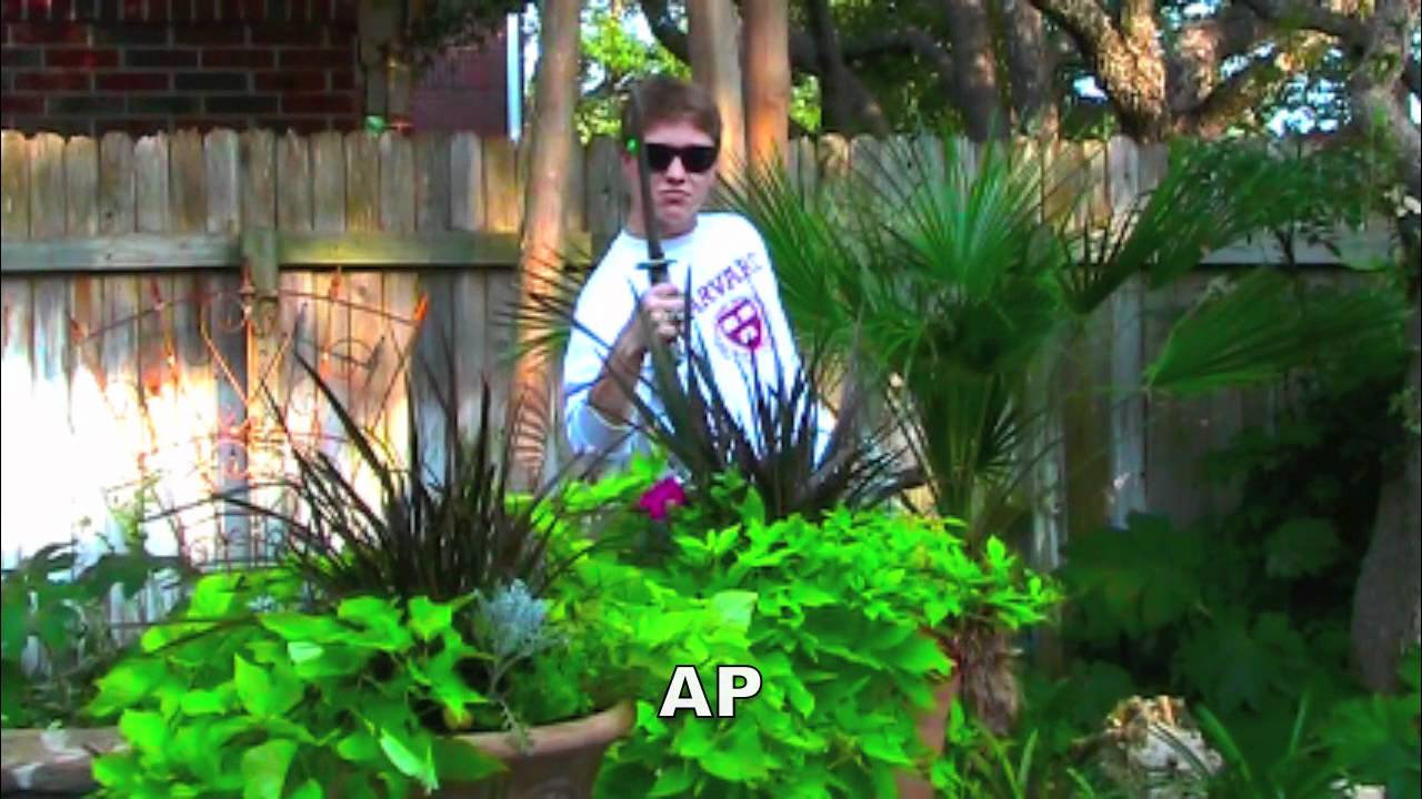 APUSH Promo Vid YouTube apush-promo-vid-youtube