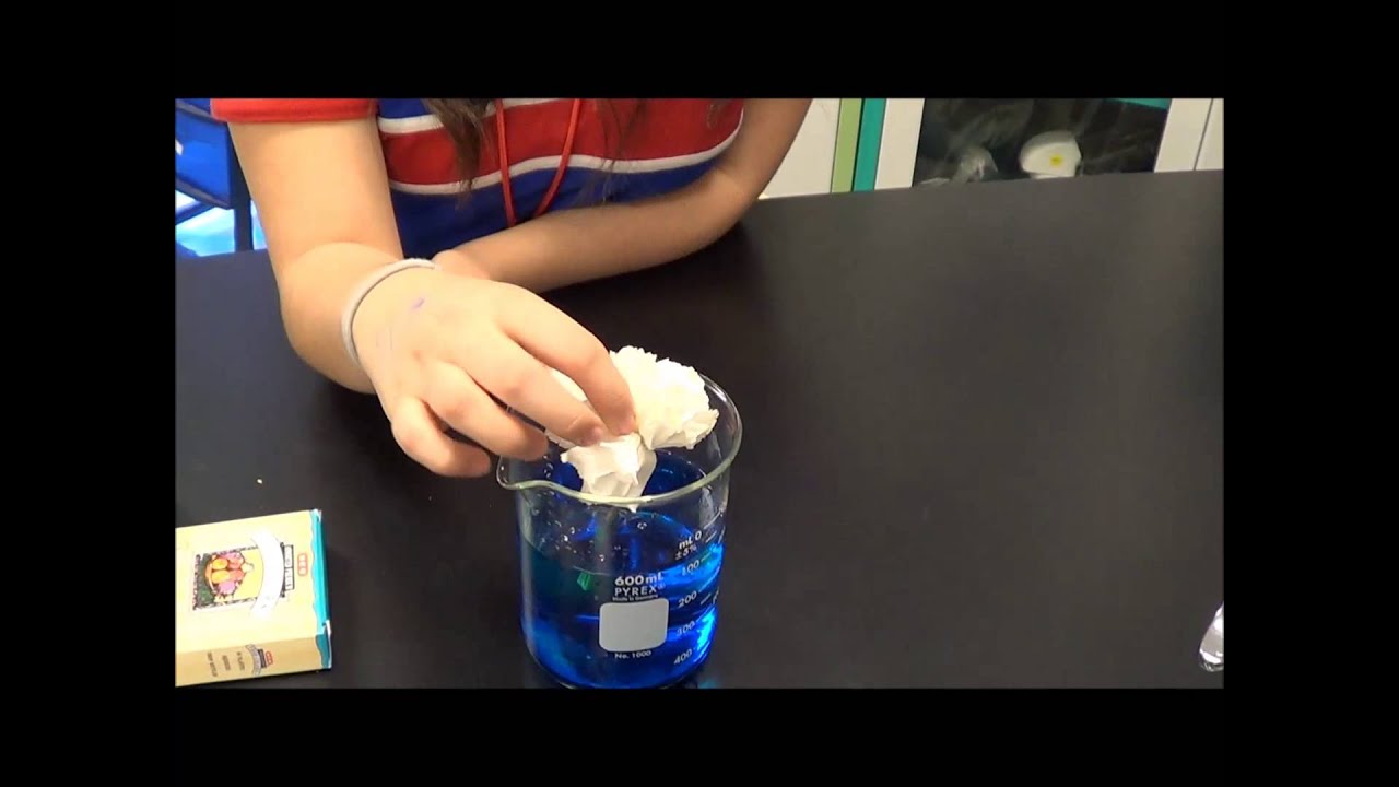 Plant Transpiration T-STEM PROJECT FOR STEM EDUCATORS - YouTube