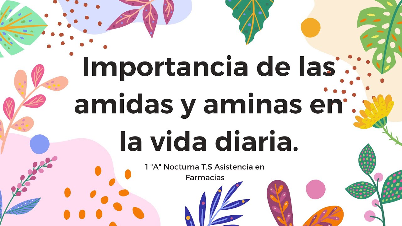 Importancia de las amidas y aminas en la vida diaria. - YouTube