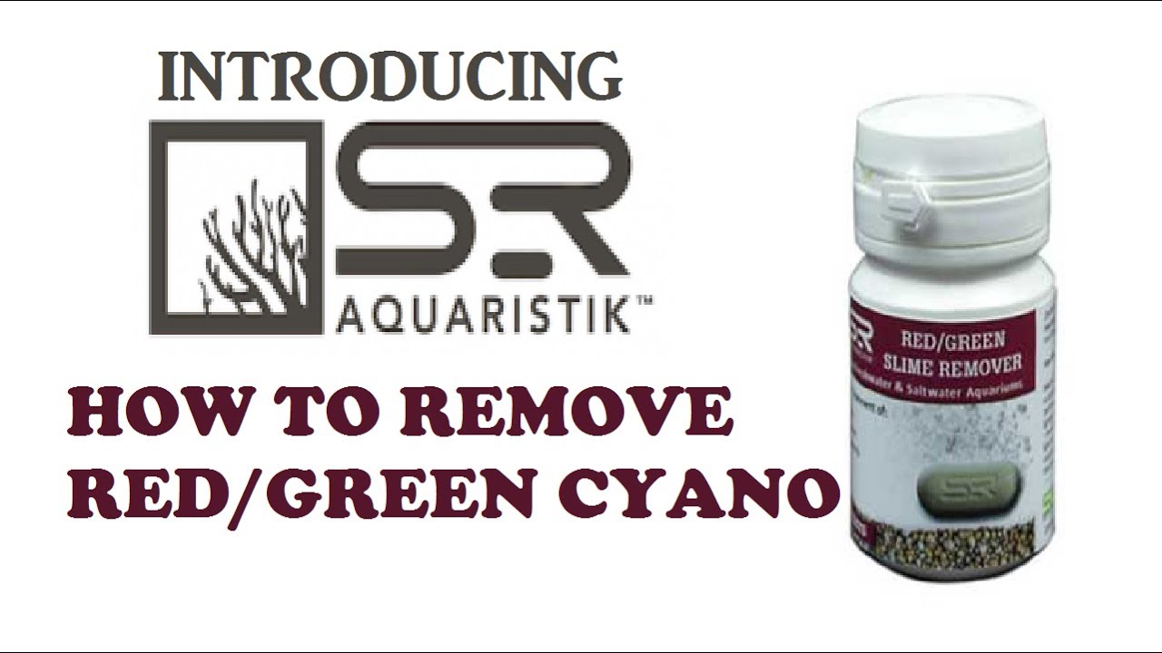 How to Remove Red/Green Cyano!!! Introducing SR Aquaristik Brand ...