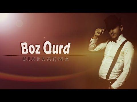 Boz Qurd - Diafraqma (Official Video Clip)