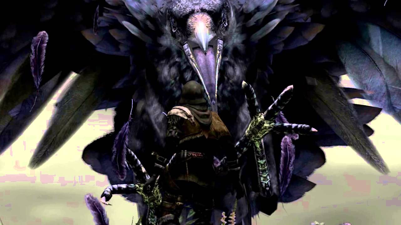 Loki the Crow - YouTube