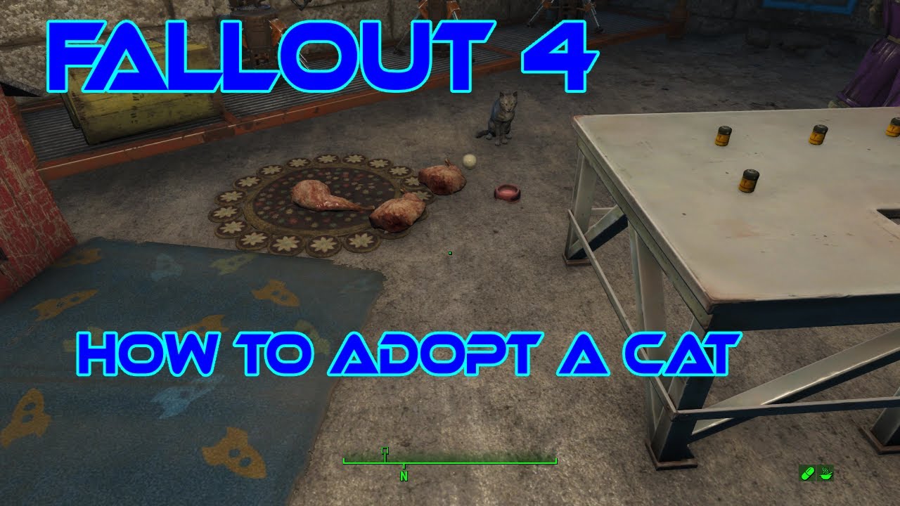 Fallout 4 How to adopt a Cat - YouTube