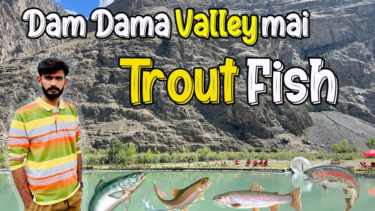 Dam Dama mai most expensive Trout Fish 😍 - YouTube