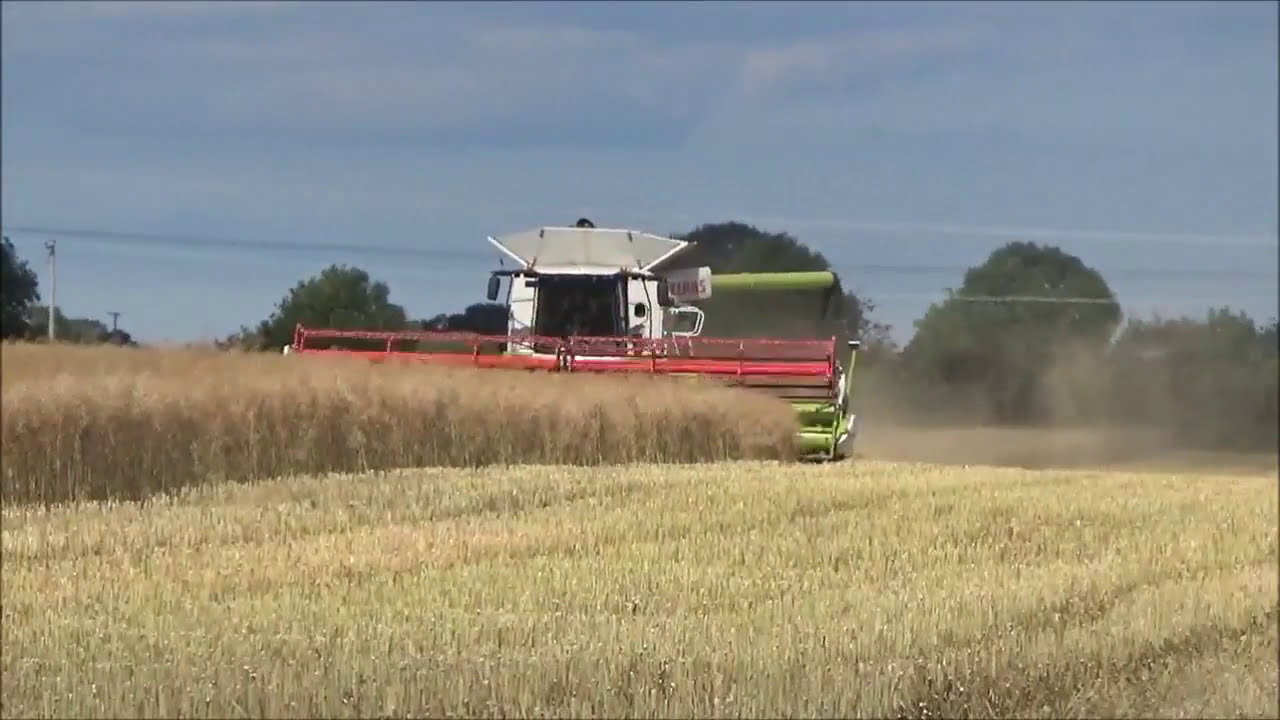 CLAAS LEXION 770 Combine harvester - YouTube
