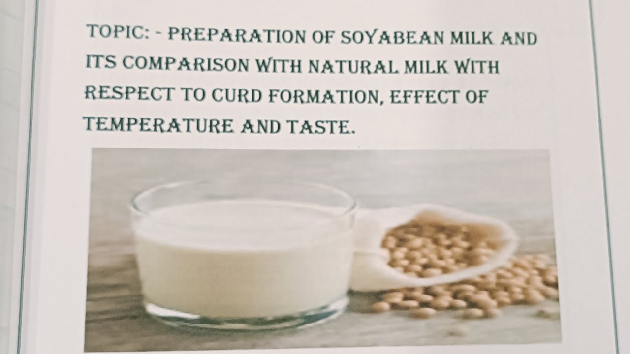 Class 12th Chemistry Project printed+written Preparation of soyabean milk and its comparison ...