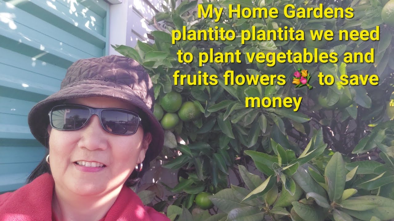 Plantita Plantito update in my home 🏡 Gardens - YouTube
