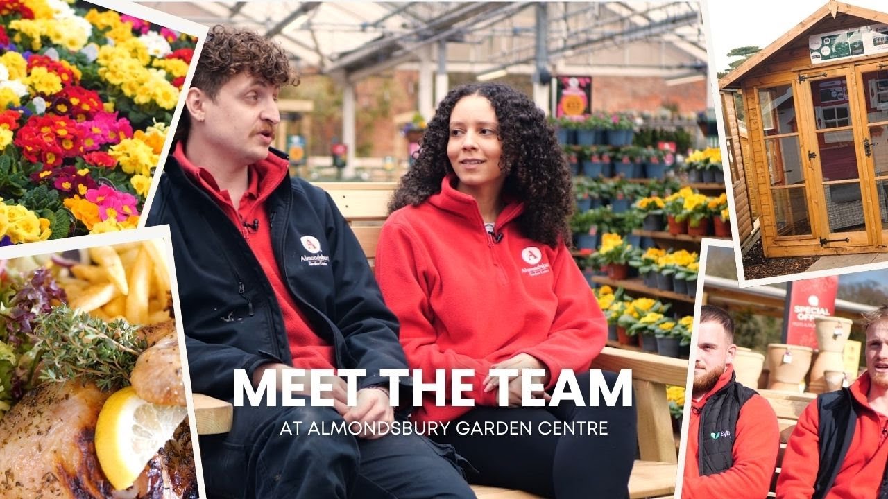 Inside Almondsbury Garden Centre | Meet Our Team, Products & Café - YouTube