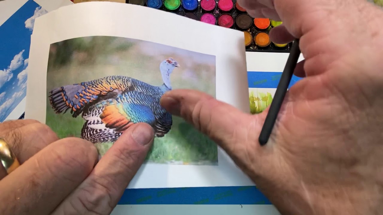 2. The Wild Blue Turkey sky - YouTube