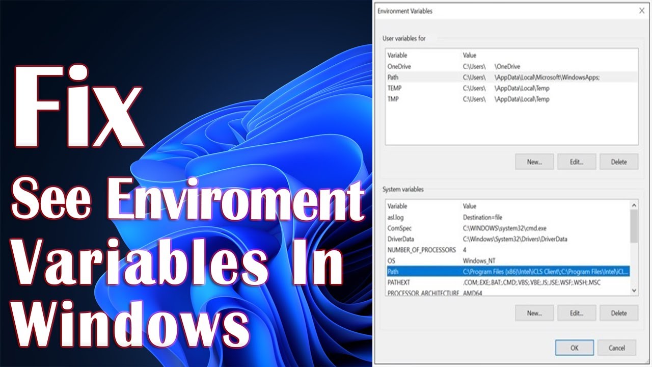 Setup Environment Variables Names And Values In Windows - How To Fix ...