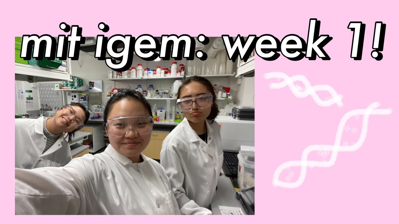 week one with MIT iGEM 🔥😊 | synthetic biology research project for ...