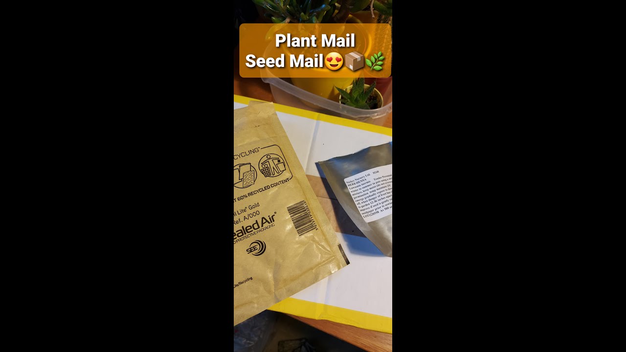 Plant Mail, Seed Mail 📮📦😍🌿 - YouTube