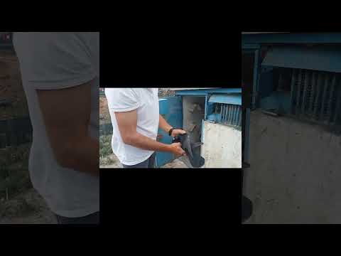 ŞAMPİYON ENGİN KÖSEDAĞ SAYI REKORTMENİ KUŞLARI AKŞAM YAYINDA SAKIN KAÇIRMAYIN