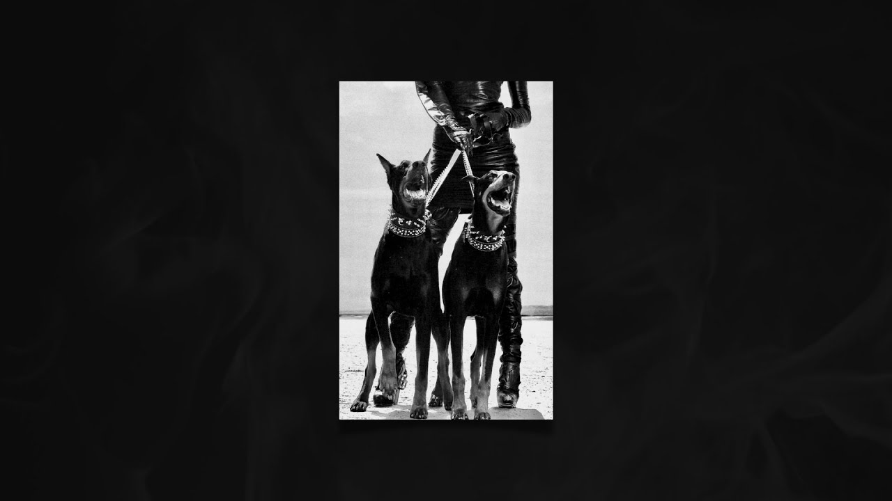 [Free] "DOBERMANN Pt.2" - Dark Techno Bass House Electronic Rap Beat ...