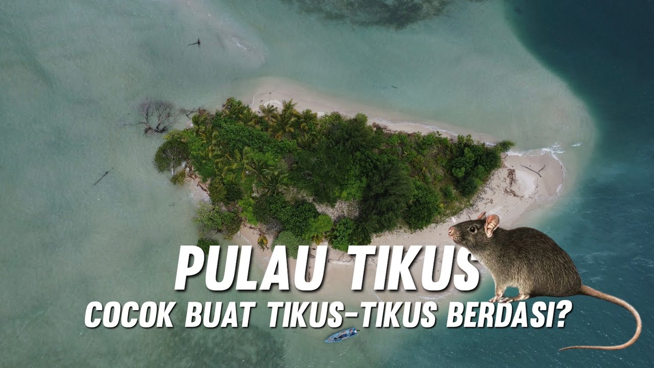 PULAU TIKUS PULAU TERKECIL DI MALUKU - YouTube