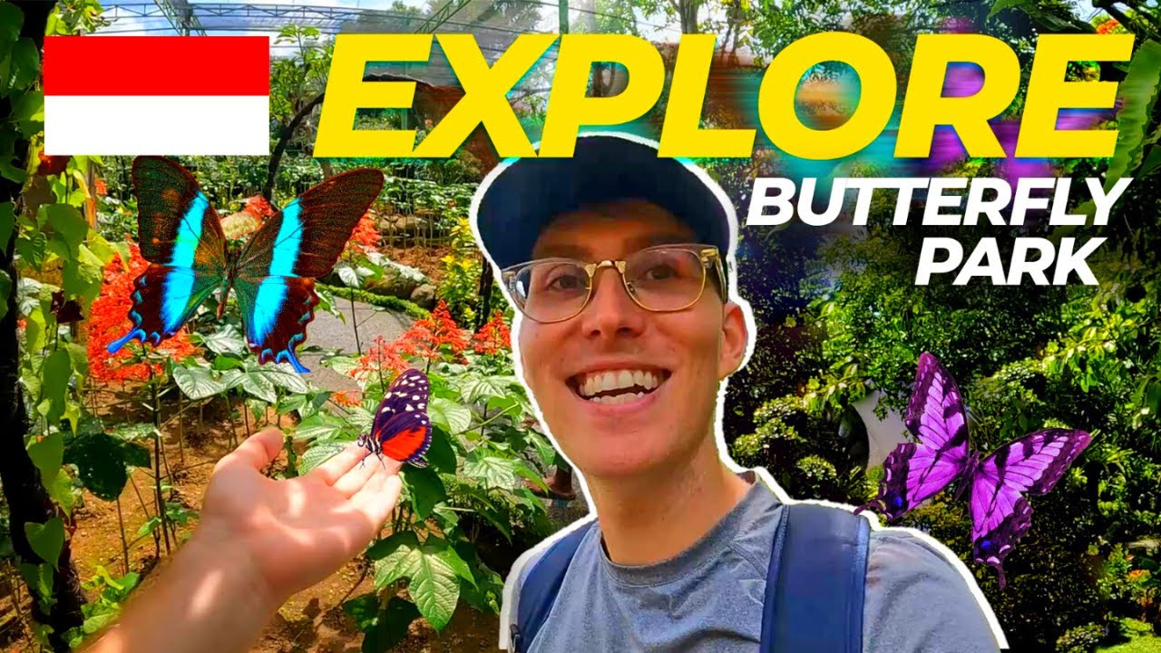 We Found A MASSIVE Butterfly Park In Bali Indonesia YouTube we-found-a-massive-butterfly-park-in-bali-indonesia-youtube