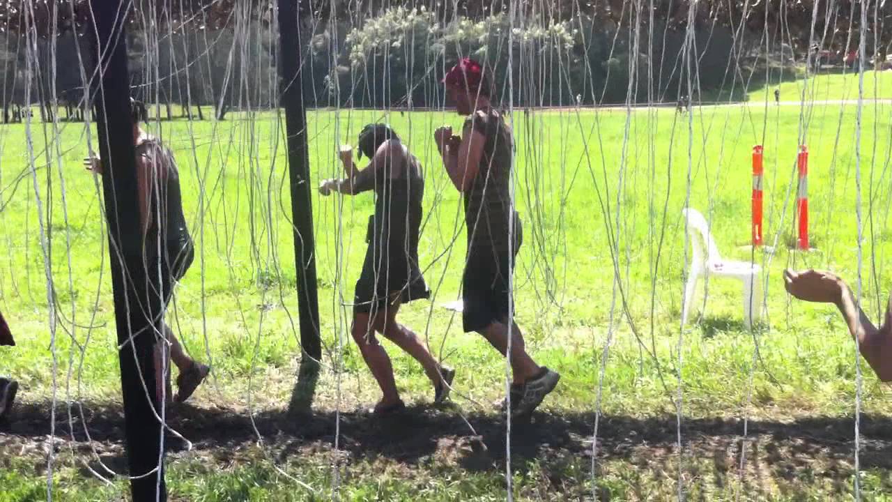 The Bug Zapper - Valley Stampede - YouTube