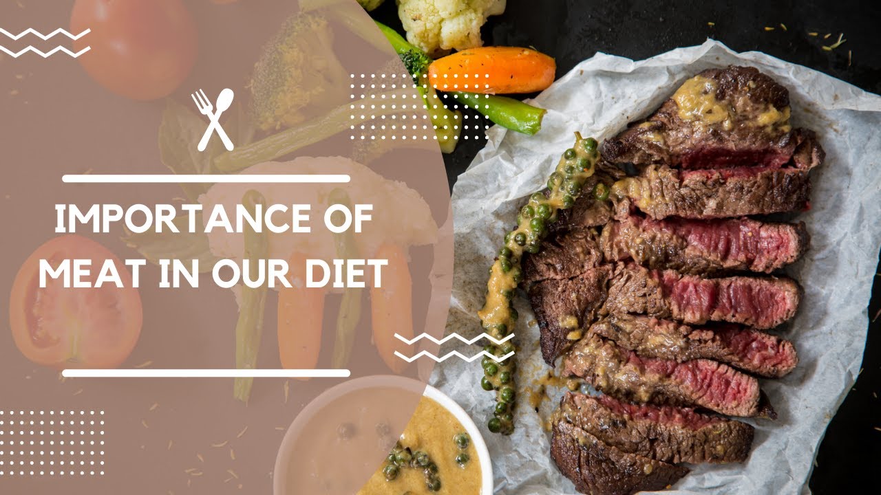 The Importance of Meat in Our Diet - YouTube