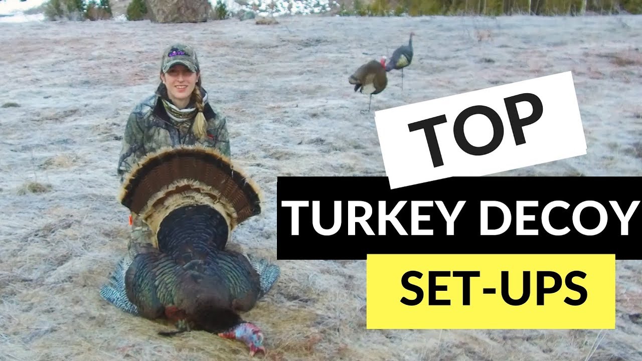 BC Merriam Turkey Decoy Set-ups For Smashing Big Toms - YouTube