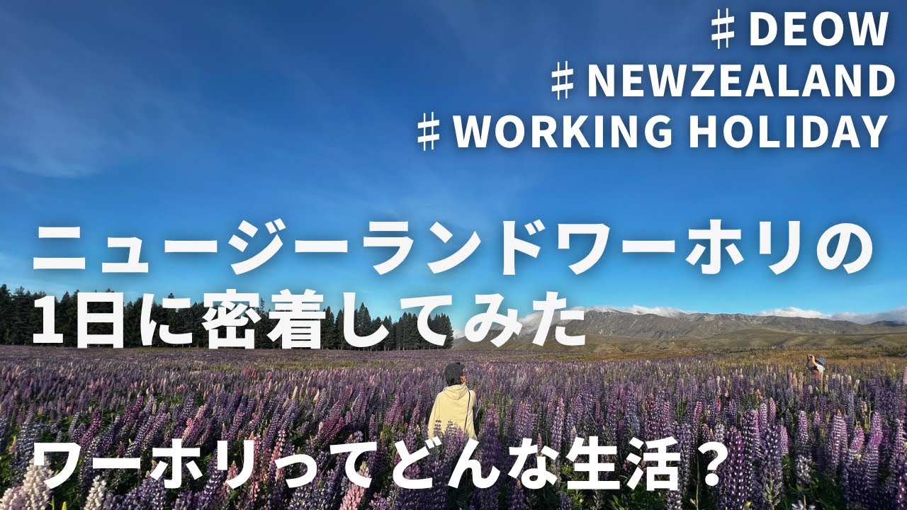 ニュージーランドワーホリの1日に密着してみた! vor1 - YouTube