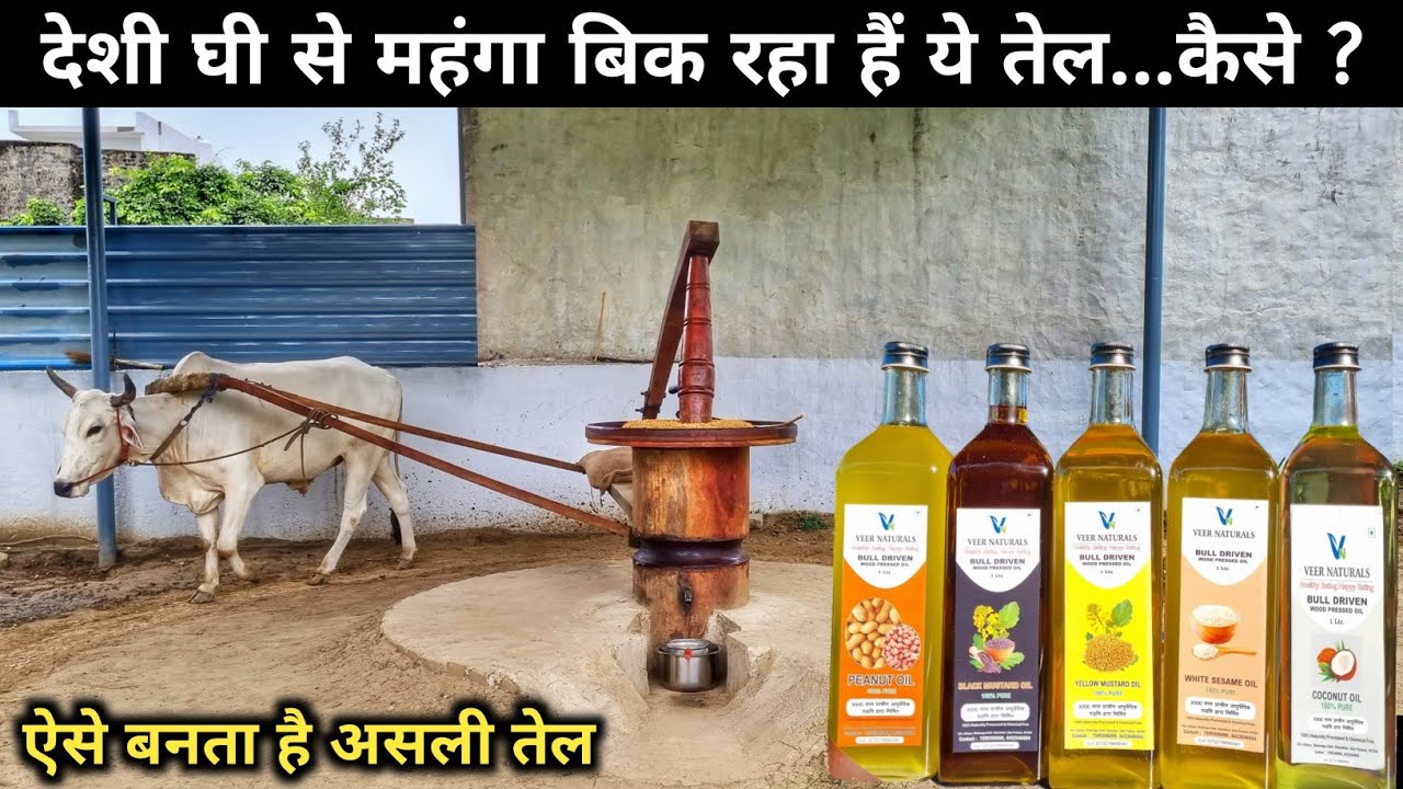 घातक रोगों से बचाता हैं ये तेल ( गारंटी के साथ ) | Best & Healthy Oil ...