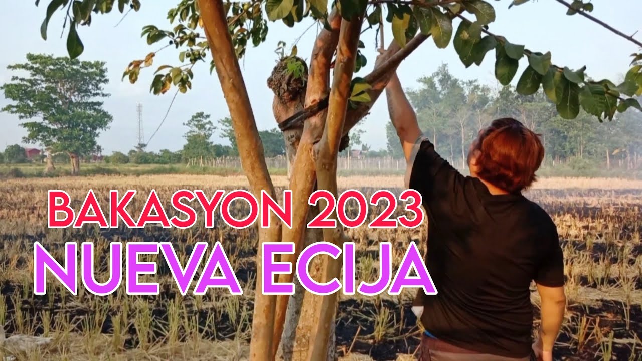 PUMUNTA SA BUKID, NAHULOG SA PILAPIL. LAUGHTRIP!!! - YouTube