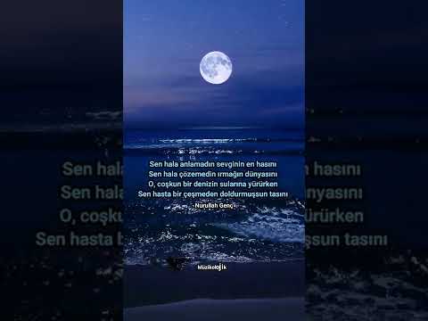 SEN SEVGİNİN HASINI ANLAMADIN - Duygusal Durum Videoları WhatsApp Durum Videoları instagram Hikaye