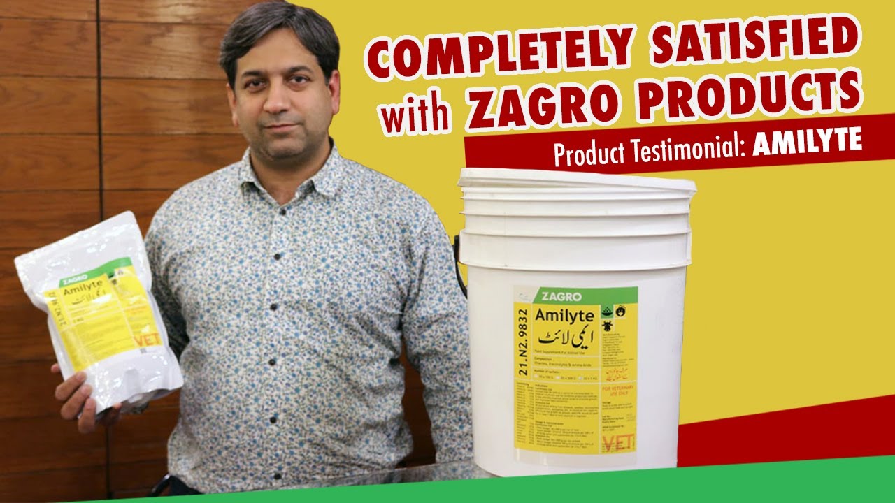 Amilyte Best Nutritional Supplements - Product Testimonial - YouTube