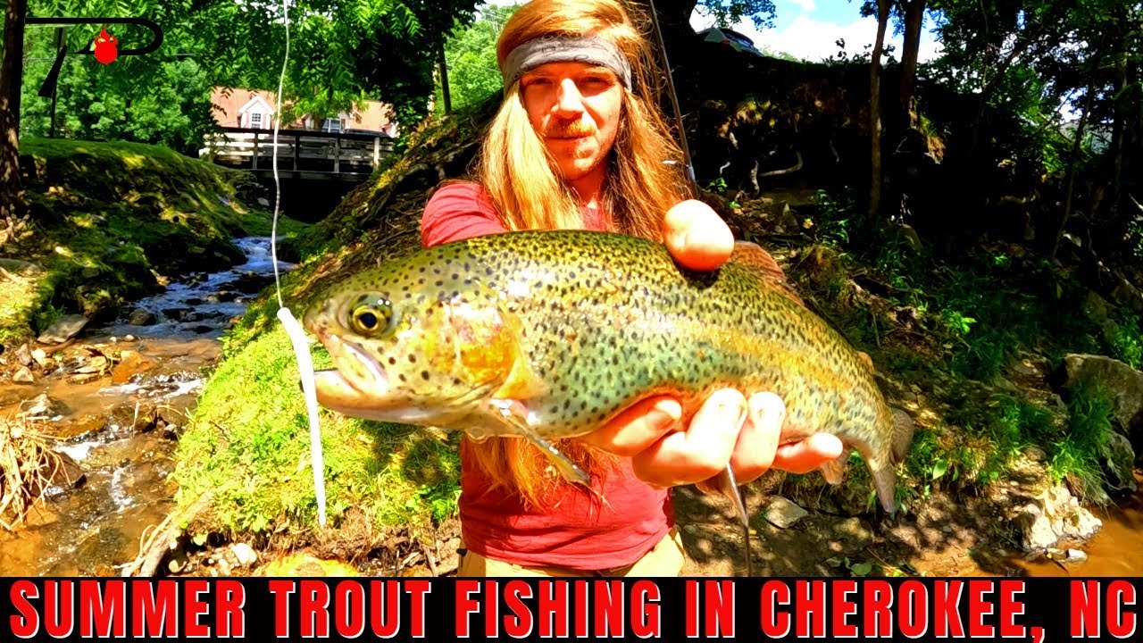Summer Trout Fishing In Cherokee - YouTube