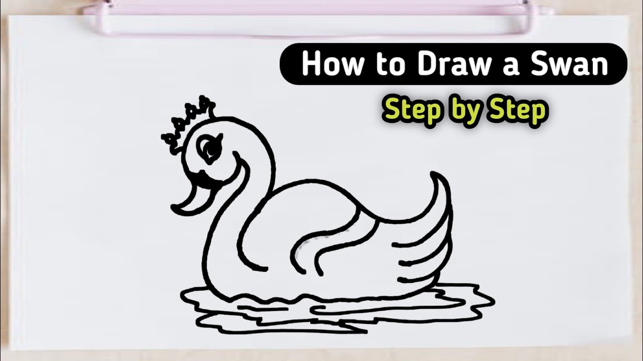 How to Draw a Swan / Step by step very easy || Art video - YouTube
