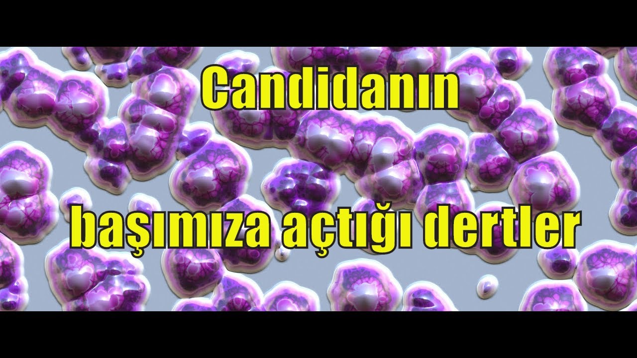 CANDIDA MANTARININ BASIMIZA ACTIGI DERTLER ! (kandida mantarının yol ...