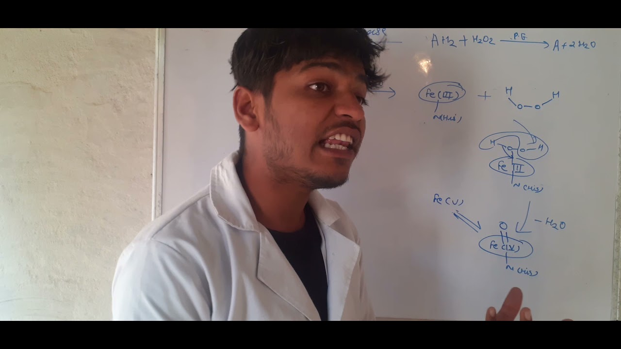 Peroxydase and catalase enzyme with surya vaishnav - YouTube
