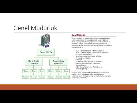 BANKALARIN KURULUŞU, ORGANİZASYON YAPISI VE PAZARLAMA