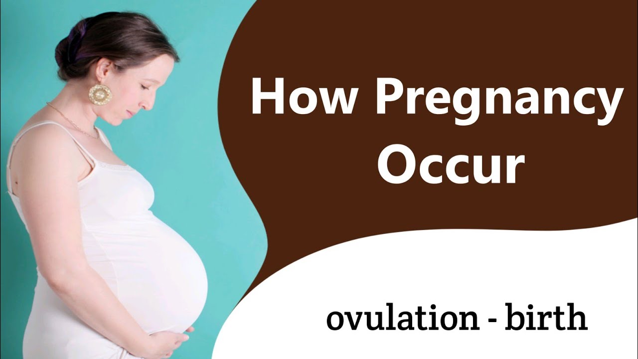 How pregnancy occur | From ovulation to birth - YouTube