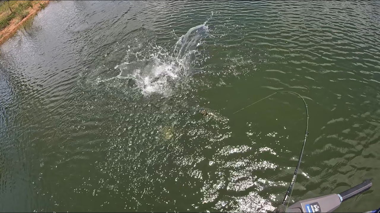 GRANDE CARDUME NO LAGO SERRA DA MESA! PANCADA PRA TODO LADO! Pescaria ...