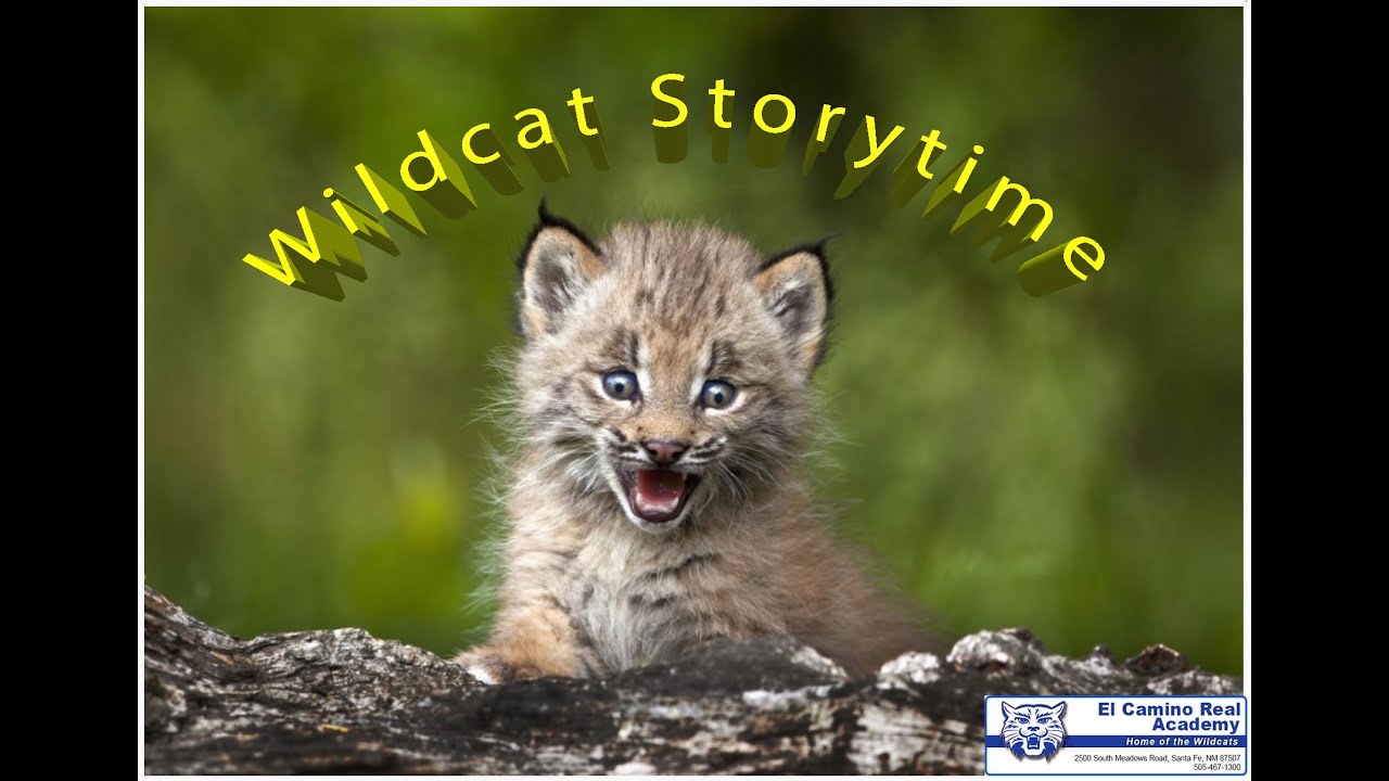 Wildcat Storytime: The Little Scarecrow Boy - YouTube