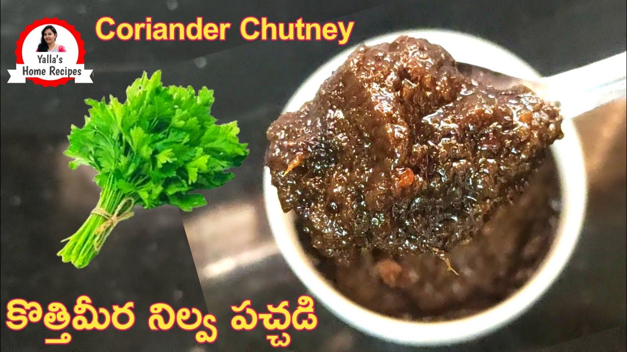 Kottimeera pachadi | kothimeera nilava pachadi in telugu | coriander ...