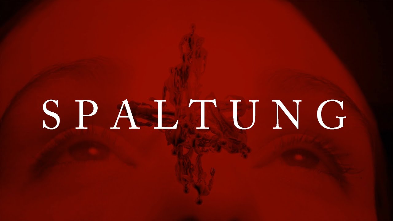 Spaltung durch Ideologie - YouTube