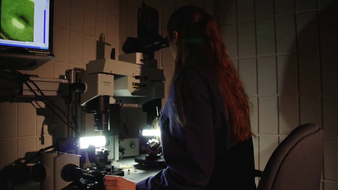 Henry C. Lee College of Criminal Justice and Forensic Sciences : An ...