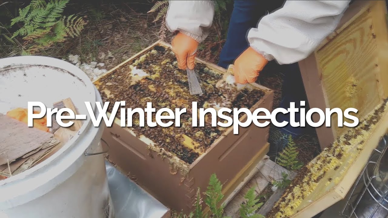 Starting Our Pre Winter Checklist - YouTube