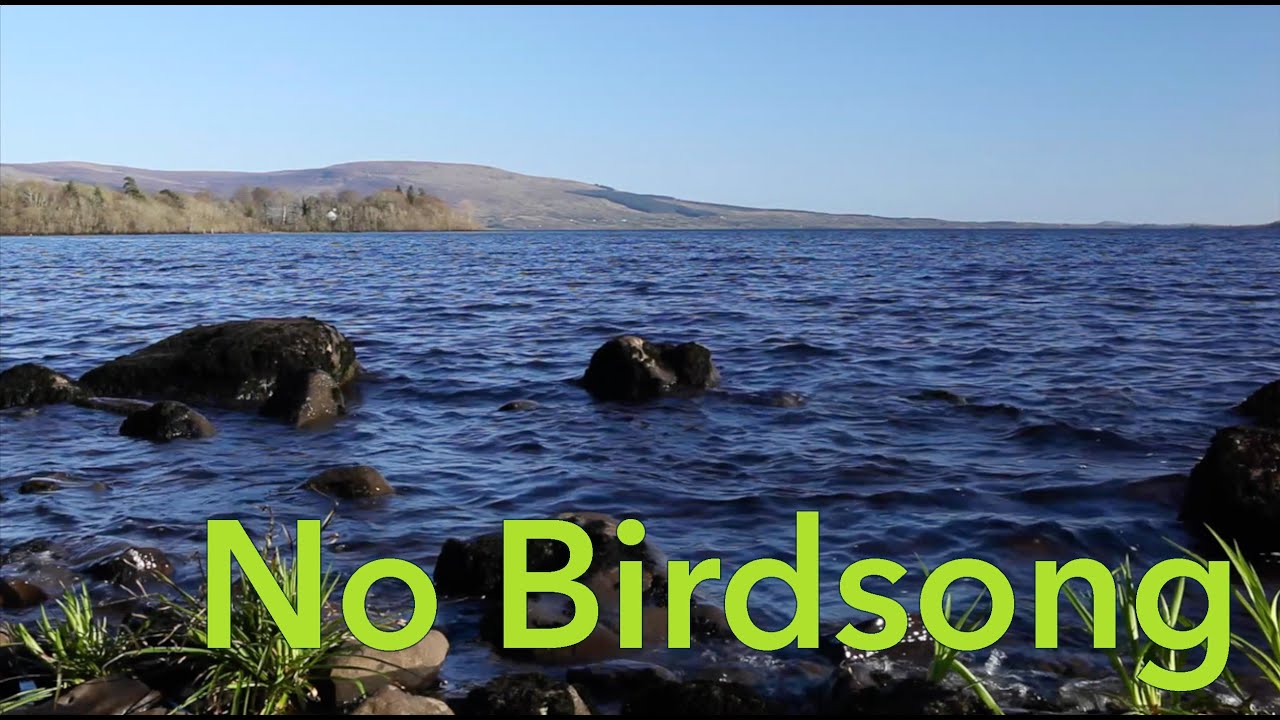 8 hours Nature Sounds for Sleeping - Relaxing Lapping Water W/O ...