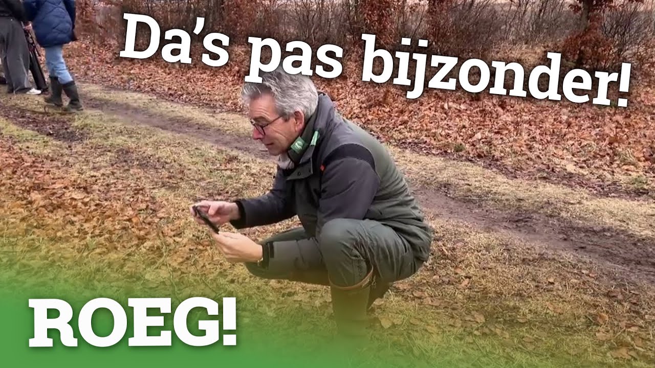 Van koeienstront tot ijshaar ️ in een nieuwe ROEG! vlog - YouTube