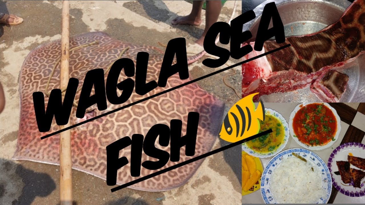 Kokani jewan aj maine banyi Wagle ki macchi sea fish curry @kitchen ...