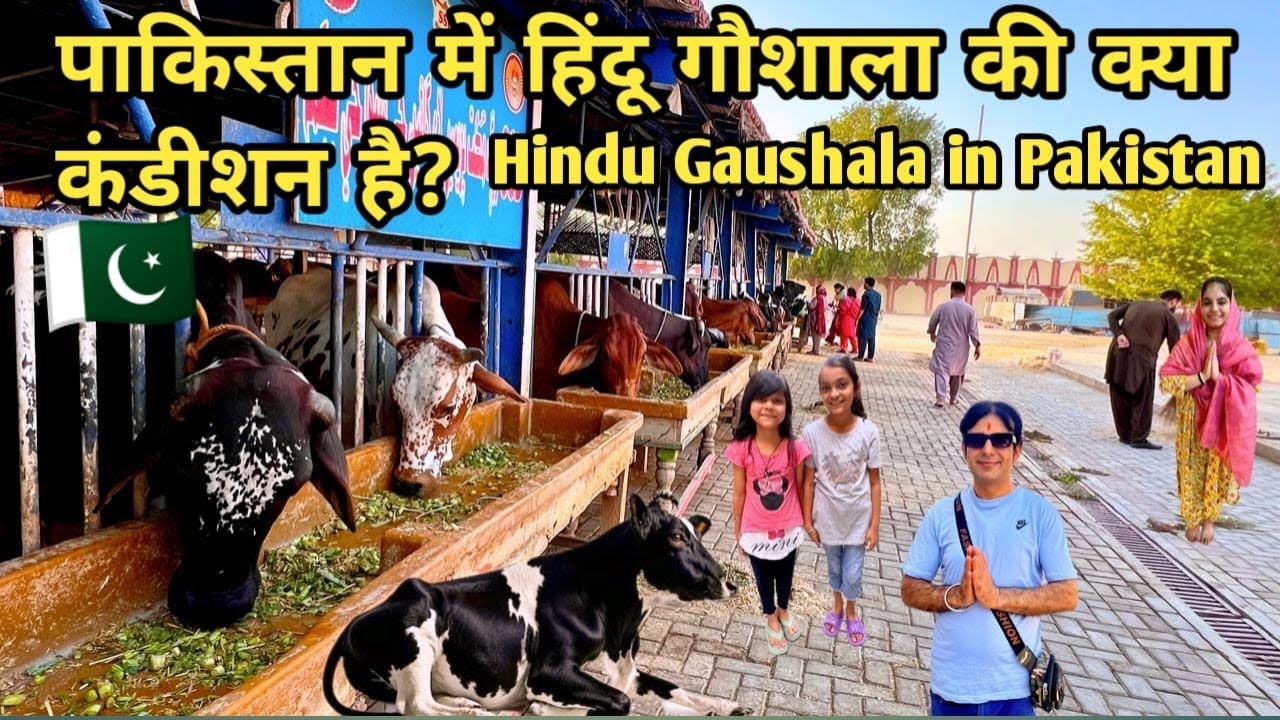 Hindu Gaushala in Pakistan | Pakistani Hindu Life in Sondh Pakistan ...
