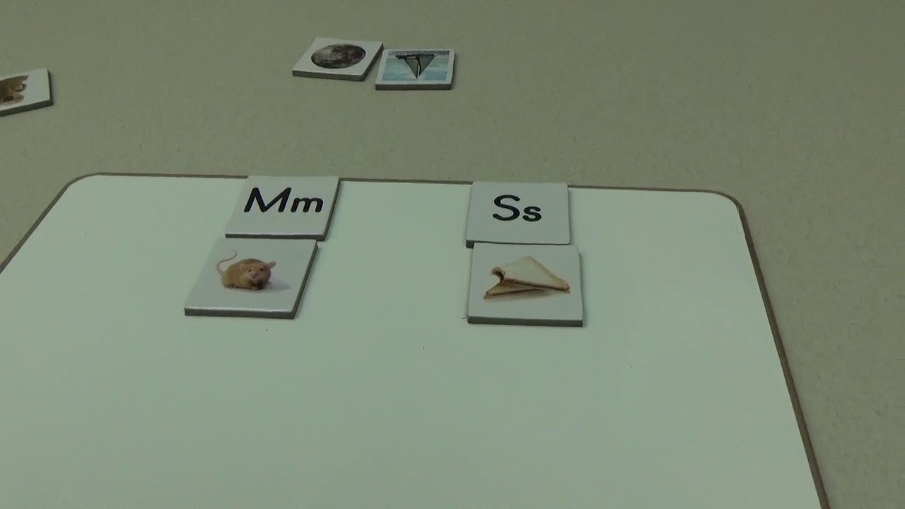 Picture Sorts - YouTube