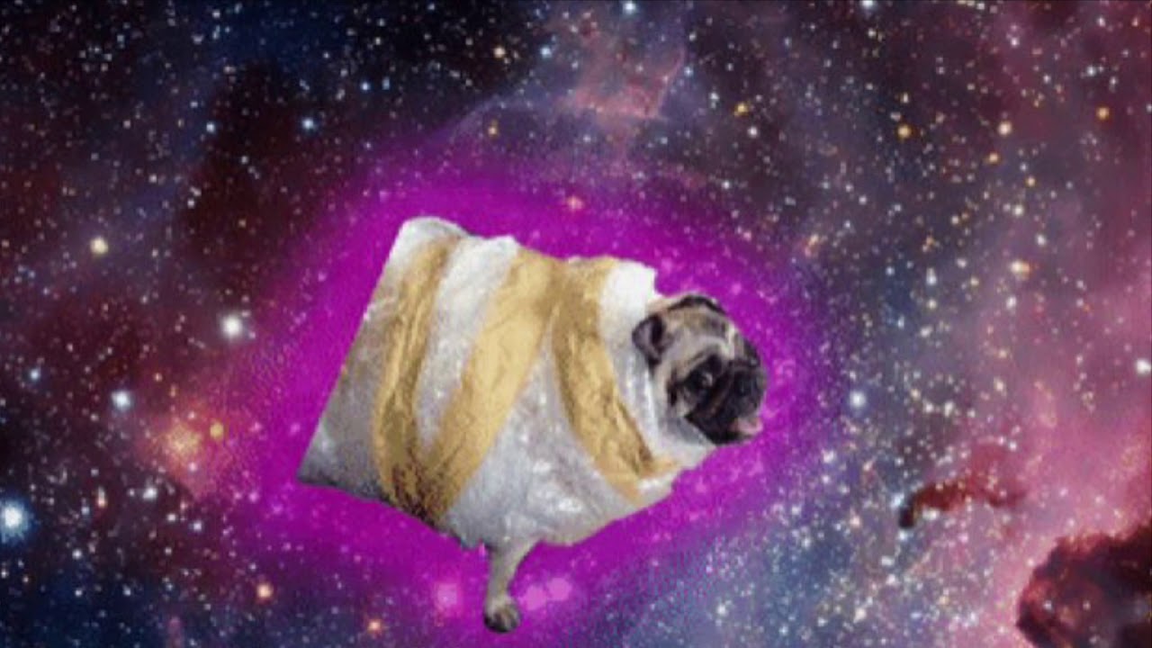Pug, The Song - YouTube