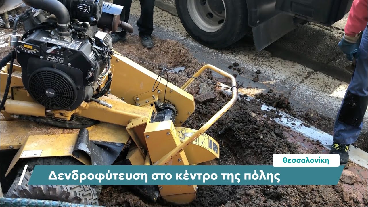 Δενδροφύτευση στο κέντρο της Θεσσαλονίκης - YouTube